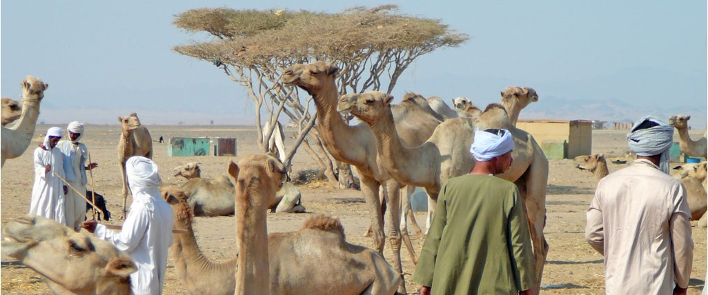 El triángulo Hala´ib, tensión entre Egipto y Sudán – OTRALECTURA